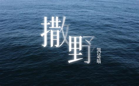 歌词排版凉白开排版第2弹 bilibili B站 无水印视频解析YIUIOS易柚斯