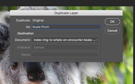 Photoshop Distort Effect Recreating Image With Distort Effect