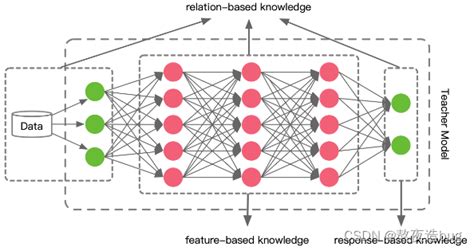 大模型学习路线（5）—— 大模型压缩（量化、剪枝、蒸馏、低秩分解），推理（vllm）大模型量化和vllm区别 Csdn博客