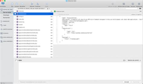 Mettre En Place Un Repository GIT Distant Sur Votre Serveur Loquet Dev