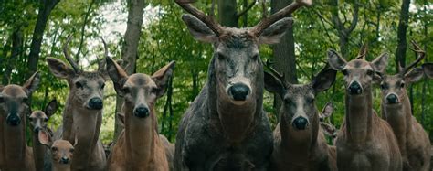 What Is The Significance Of The Deer In Leave The World Behind Theories