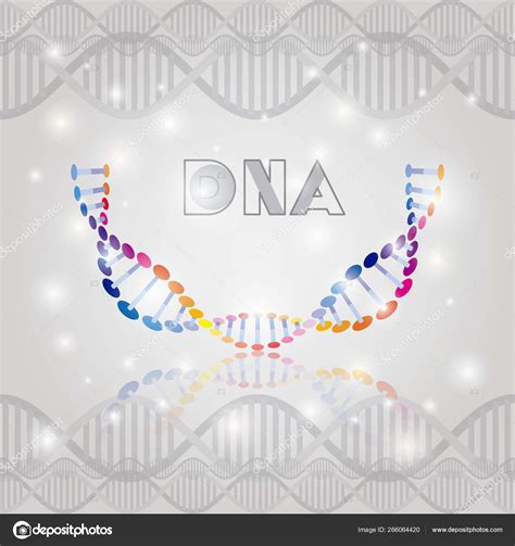 Dna Molecule Half Circle Structure Pattern Stock Vector By