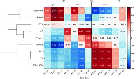 Correlation Color From Sparse Partial Least Squares Analysis SPLS