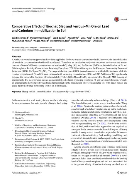 (PDF) Comparative Effects of Biochar, Slag and Ferrous–Mn Ore on Lead and Cadmium Immobilization ...