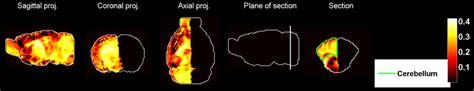 Heat Map Of The Mean Correlation Profile For Cell Type Labeled Download Scientific Diagram