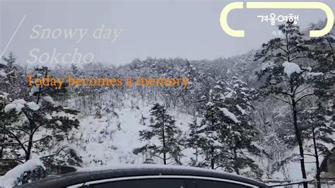 눈 내리는 속초 노는 친구들과 겨울여행 Youtube
