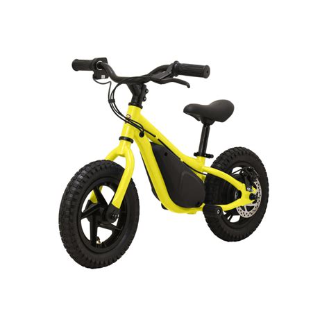 Our Products Massimo Electric