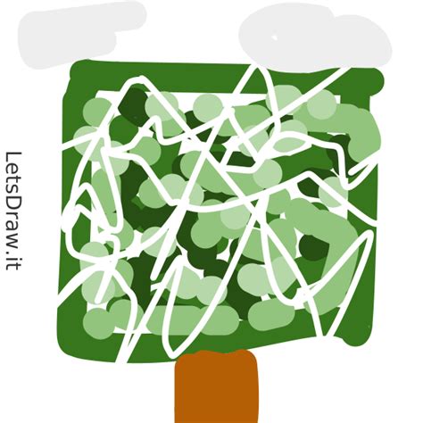 How To Draw Leaf Bgcgoywz Png LetsDrawIt