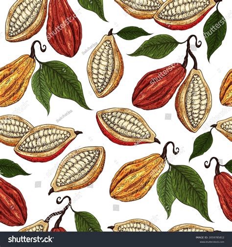 Cocoa Pattern Organic Healthy Food Background Stock Vector Royalty Free 2059785812 Shutterstock