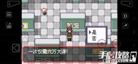 《口袋妖怪究极绿宝石53》华丽大赛完美通关攻略治愈比赛回合