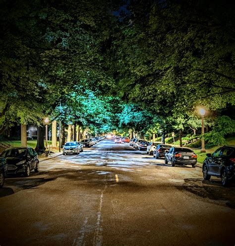 378 Best Tree Tunnel Images On Pholder Pics Itookapicture And Nature Is Fucking Lit