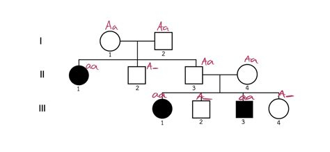 การใช้งานทฤษฎีเบย์ Bayess Theorem ในการแก้โจทย์ปัญหาพันธุศาสตร์