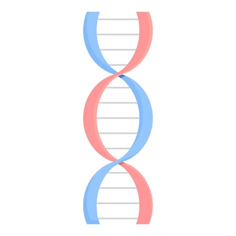 Simplified Dna Vectors And Illustrations For Free Download