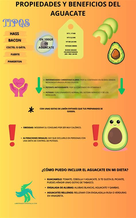 Propiedades Nutricionales Del Aguacate