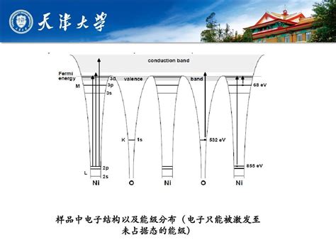 透射电镜中的EDS STEM和EELS的原理及应用 word文档在线阅读与下载 免费文档