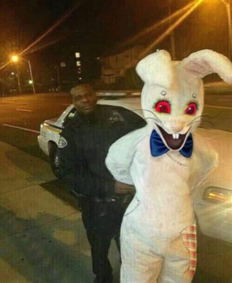 News Flash A White Bunny Costumed Was Arrested Rdawko