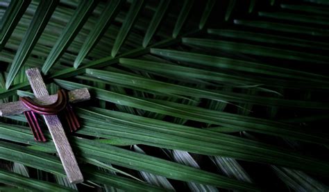 Passionpalm Sunday St Johns Lutheran Church Of Highland