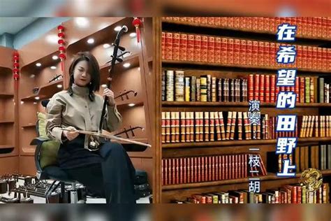 经典歌曲在希望的田野上二胡演奏一枝二胡老师 二胡 田野