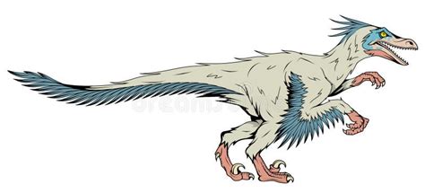 Velociraptor With Feathers Fossil Dinosaur Prehistoric Animals Stock