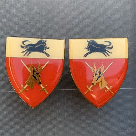 SADF South Africa Defence Force Natal Command Badge Flash SET