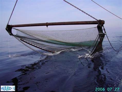 Bottom Trawling Trawl Gears And Long Lining