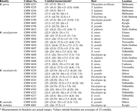Conidial Measurements For Anamorphs Of Botryosphaeria Spp Isolated