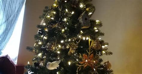 Decoration Album On Imgur