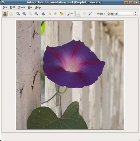 Screenshots Of The Interactive Segmentation Tool Running On The Linux Download Scientific