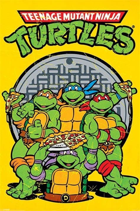 Pin By O C On 80s 90s Toons Teenage Mutant Ninja Turtles Artwork