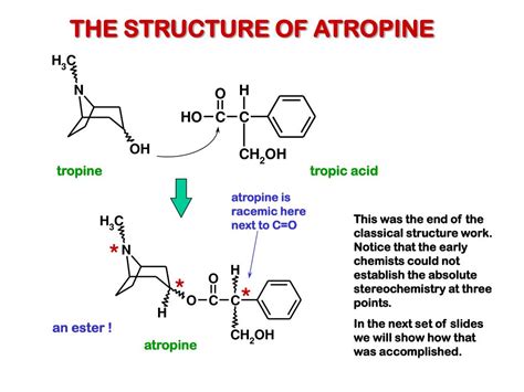 Ppt Atropine Powerpoint Presentation Free Download Id 1352498