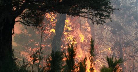 Aumentaron Los Incendios Forestales En Catamarca Y Arrasaron 2000