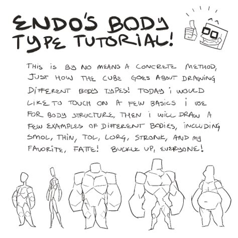 100 Bara Anatomy Ideas In 2025 Figure Drawing Reference Body