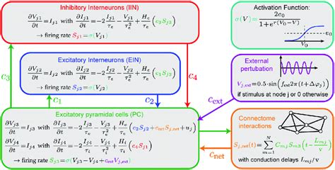 neural mass model with external stimulation a schematic of the neural