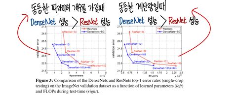 DenseNet Vision Model 논문 리뷰