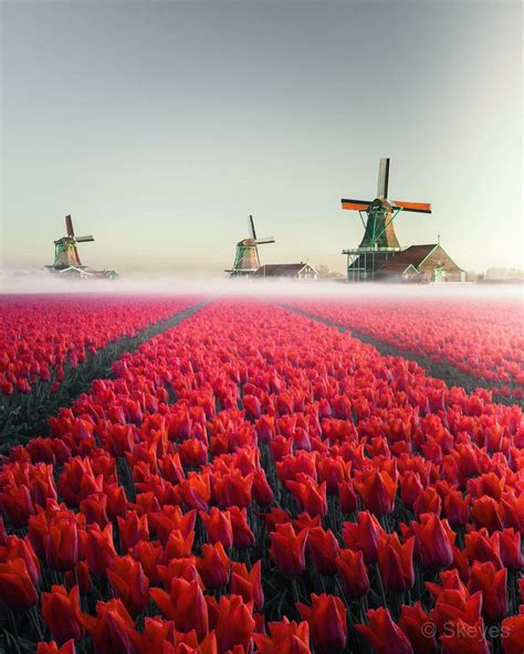 10000 Best Netherlands Images On Pholder Earth Porn Most Beautiful