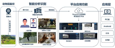 智慧动物园基于SkeyeVSS技术的解决方案 腾讯云开发者社区 腾讯云