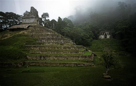 Un Joven De 15 Años Descubre Sin Salir De Casa Una Ciudad Maya