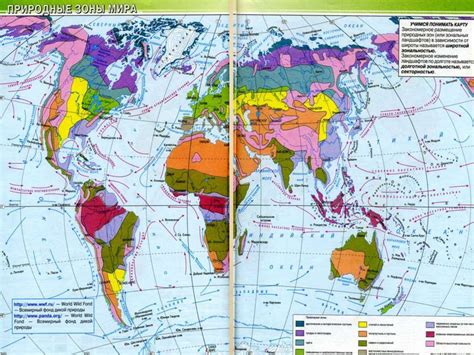 Природная зональность Урок географии 7 класс презентация онлайн