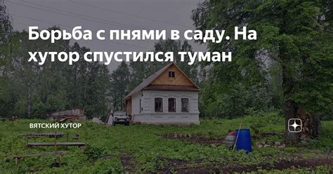 Борьба с пнями в саду На хутор спустился туман Вятский Хутор Дзен