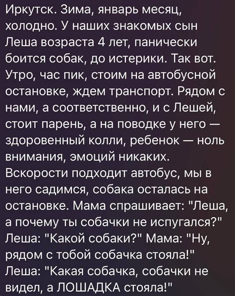 Собачка Пикабу