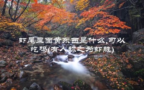 虾尾里面黄东西是什么 可以吃吗 有人称之为虾脏 掌上生意经