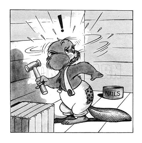 Bizzy Beaver Stock Image Look And Learn