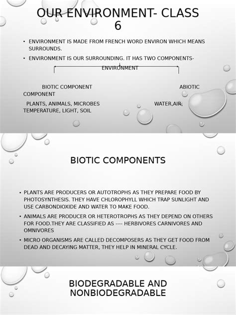 Our Environment Class 6 1 Pdf Ecosystem Biodegradation