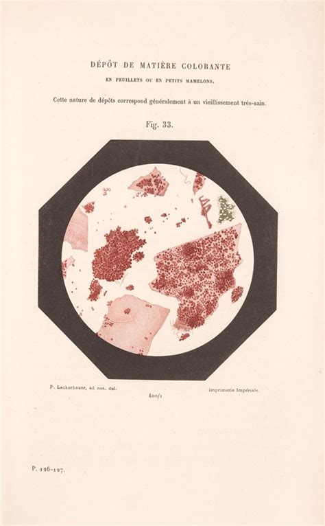 Études Sur Le Vin Artvee