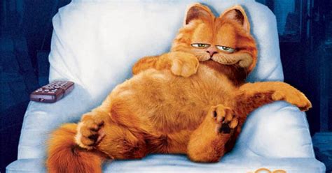 개와 고양이를 좋아하는 사람은 성격도 다를까