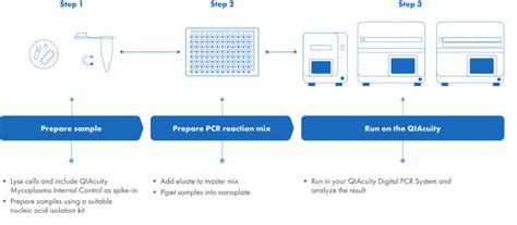 Qiacuity Mycoplasma Quant Kit And Standards