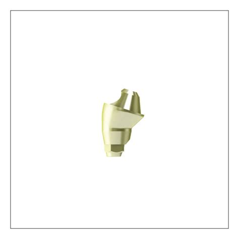 Multi Unit Angled Abutment Aost Megagen Oceania