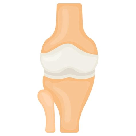 Articulation Osseuse Du Genou Avec Fémur Concept Vector Design Système