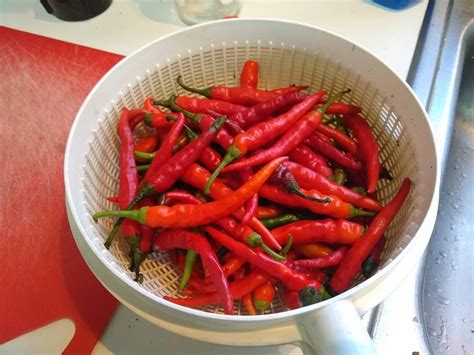 Make Your Own Pepper Sauce A Little Hacked