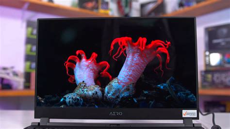 Testing An Oled Laptop Display Its Pretty Amazing Photo Gallery Techspot